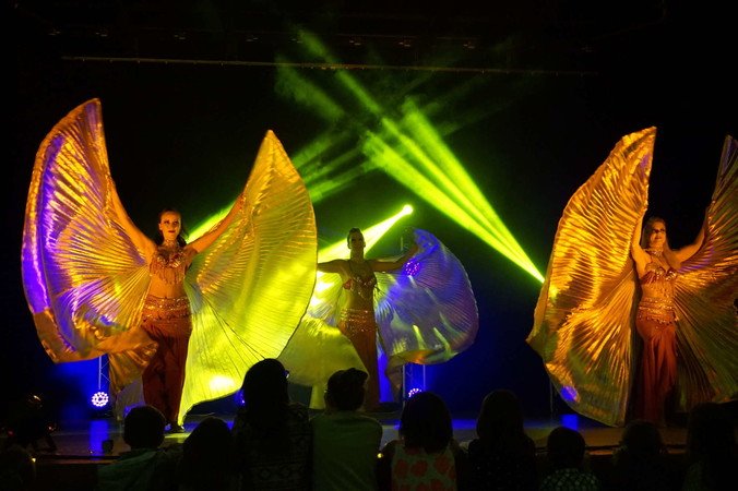 Show cabaret - Danseuses de revue et chanteuse - La Ferté-Bernard - (72400)