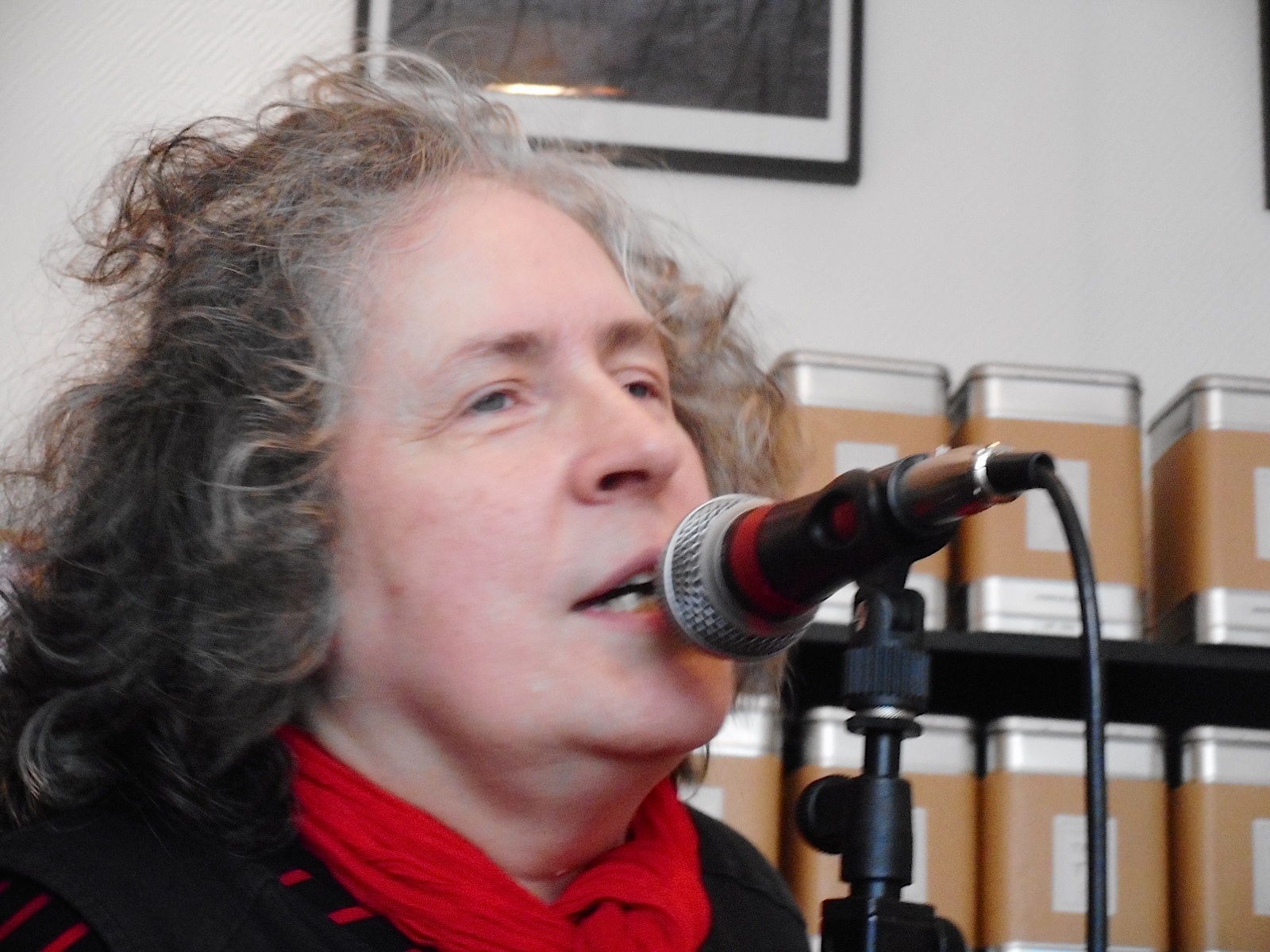 Chanteuse cherche son acolyte au piano pour duo - Paris 13 - (75013)